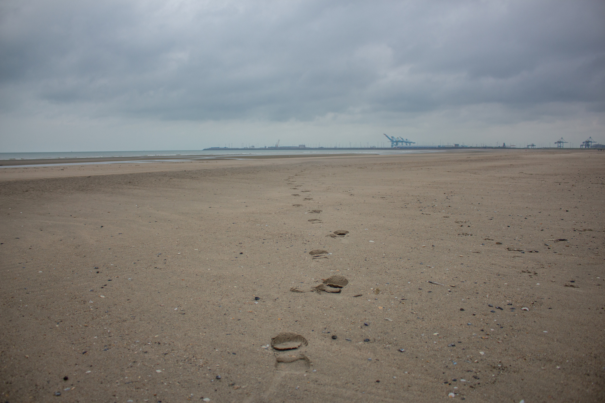 Het weerbericht voor Brussel - KMI