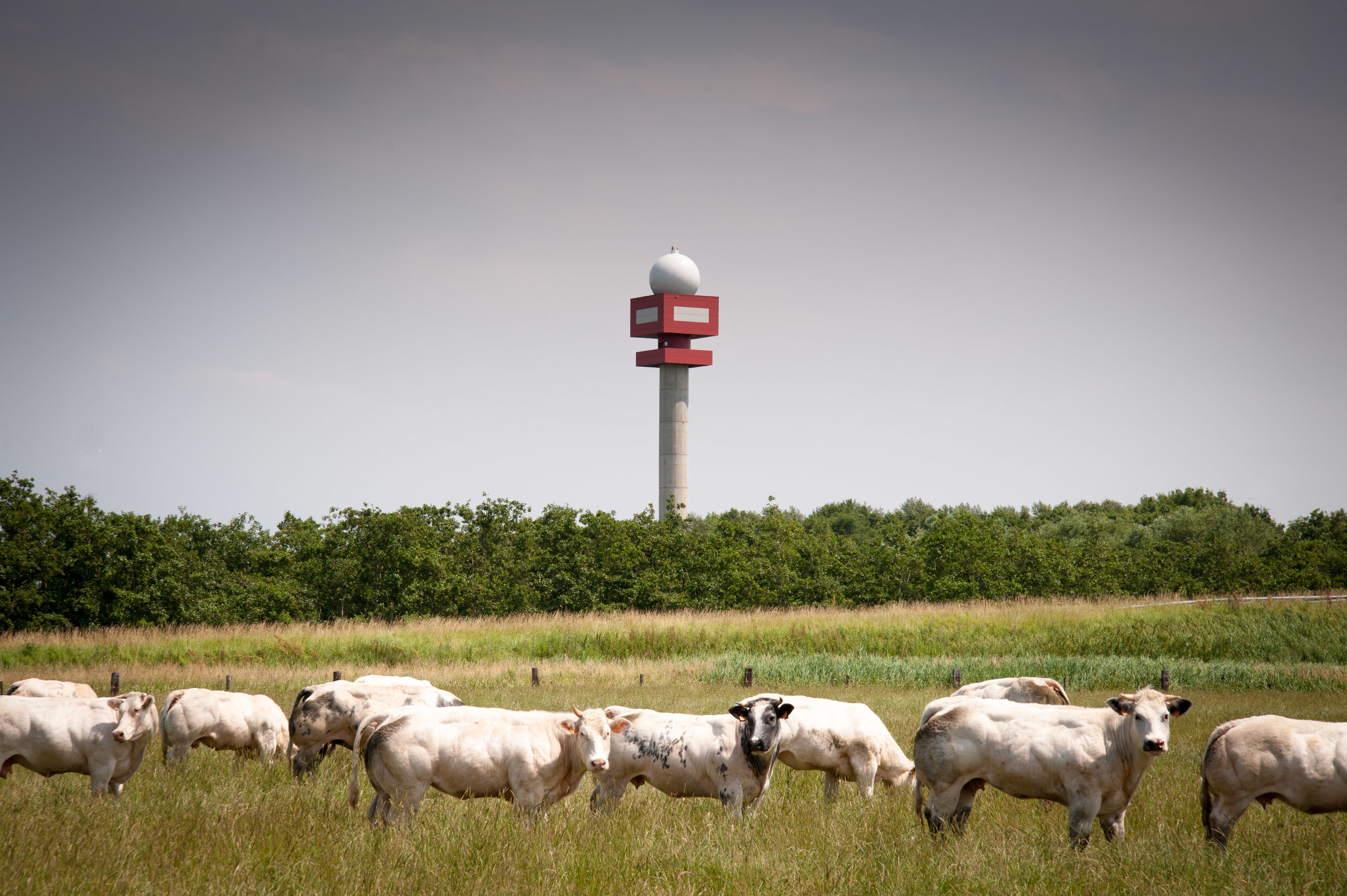 KMI - Weather radars